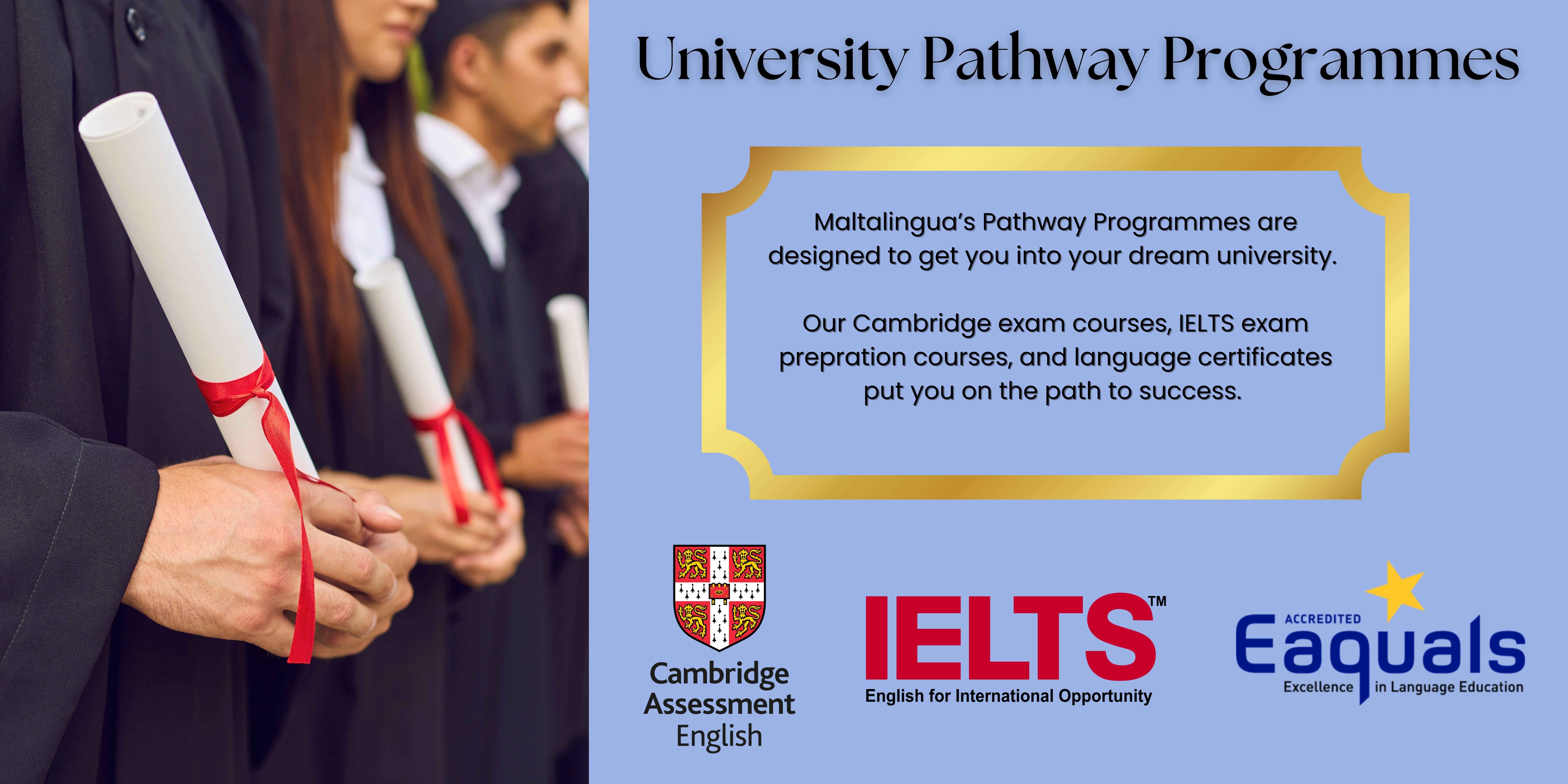 universitypathwayprogrammes